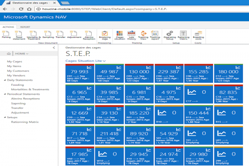 Solution, Progiciel de gestion intégrée Tunisie - Navisoft : Microsoft ...
